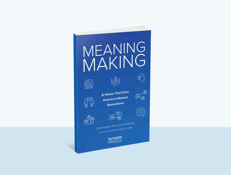 Meaning Making - Springtide Research Institute