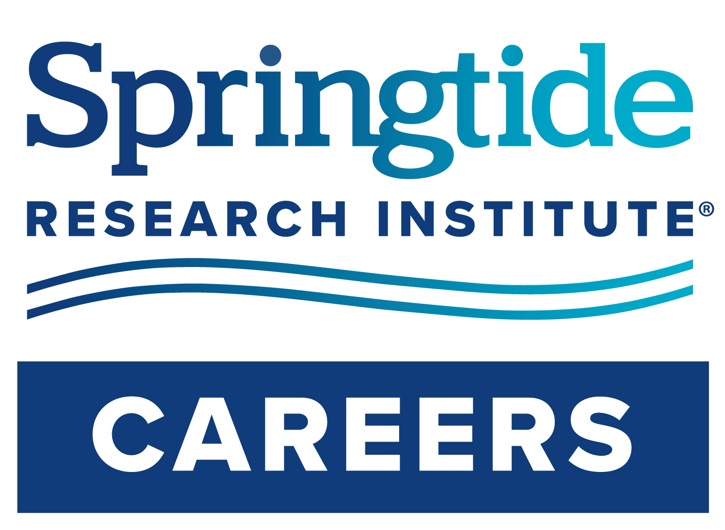 Careers - Springtide Research Institute